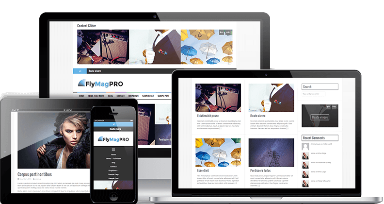 Flymag Pro WordPress Theme | srmehranclub.com