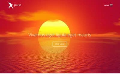 Viva Themes Pulse WordPress Theme 1.1.0 - Srmehranclub Srmehranclub