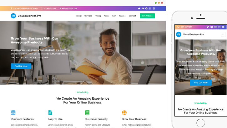 Download VisualBusiness Pro