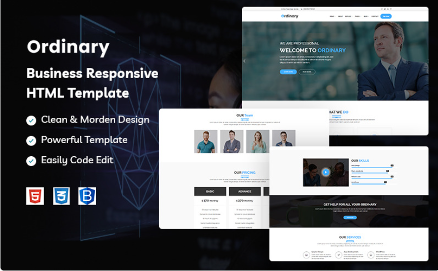 Ordinary – Business Responsive Website Template