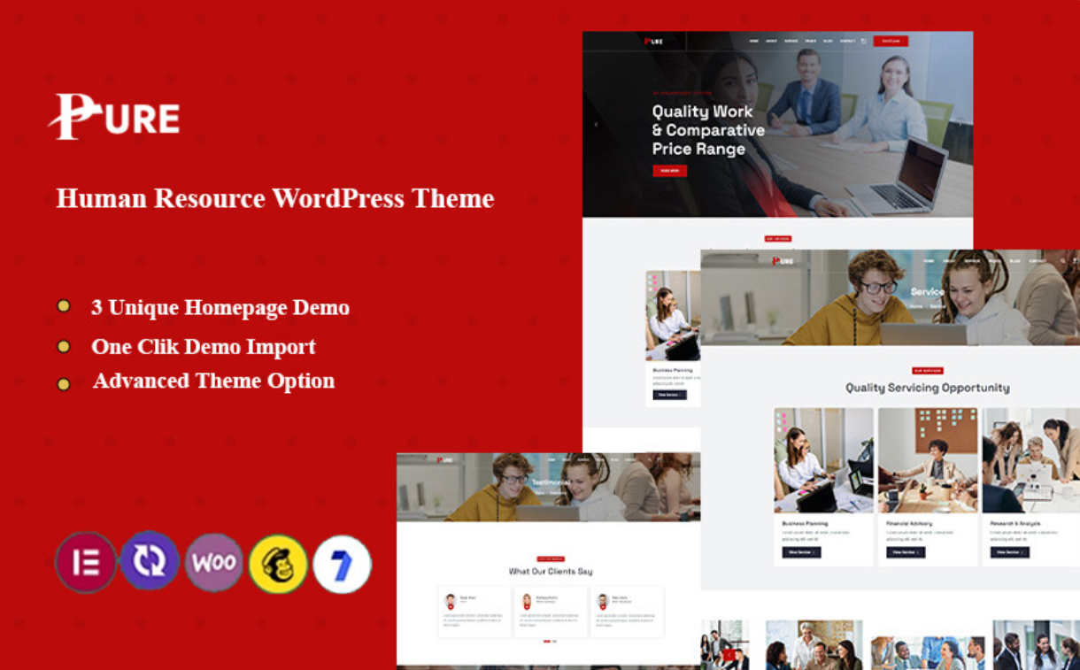 pure WordPress Theme Free Download – Human Resource GPL Theme